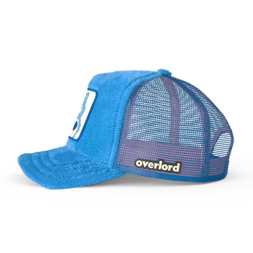 OVERLORD X Care Bears: Grumpy Bear Trucker Cap – Overlord Caps